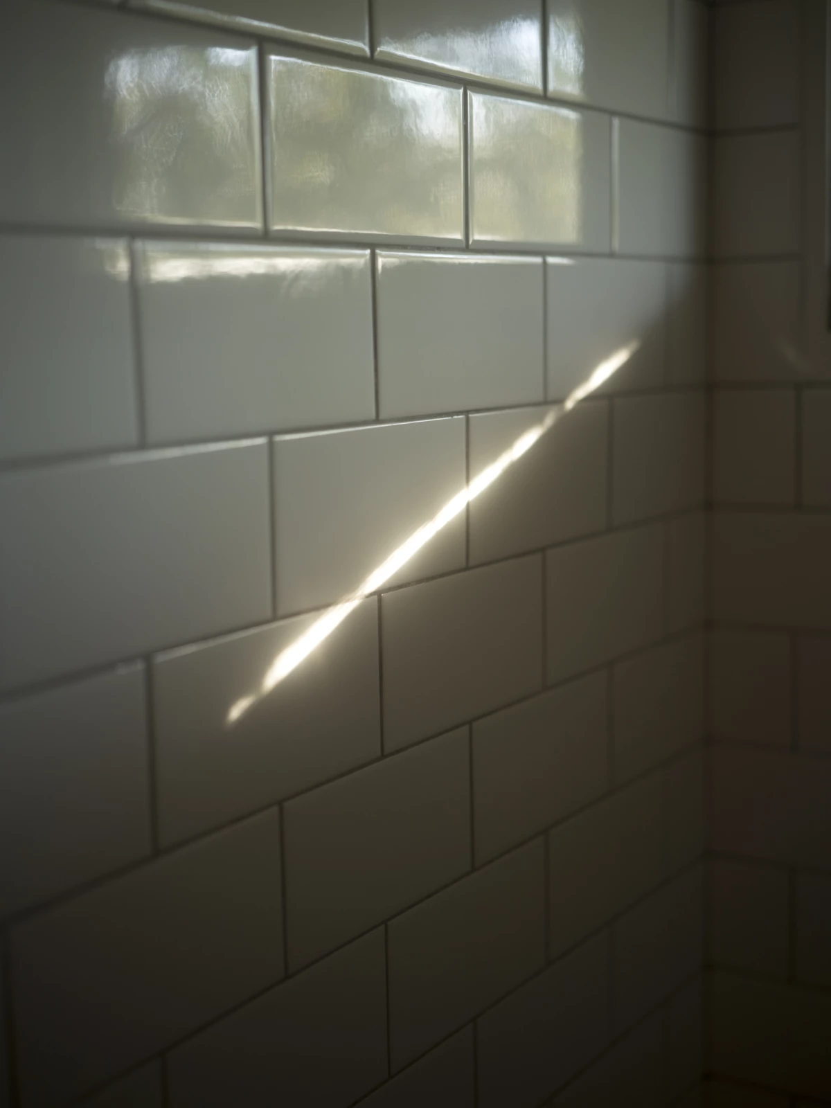 Victoria Manzoli | The Independent Photographer