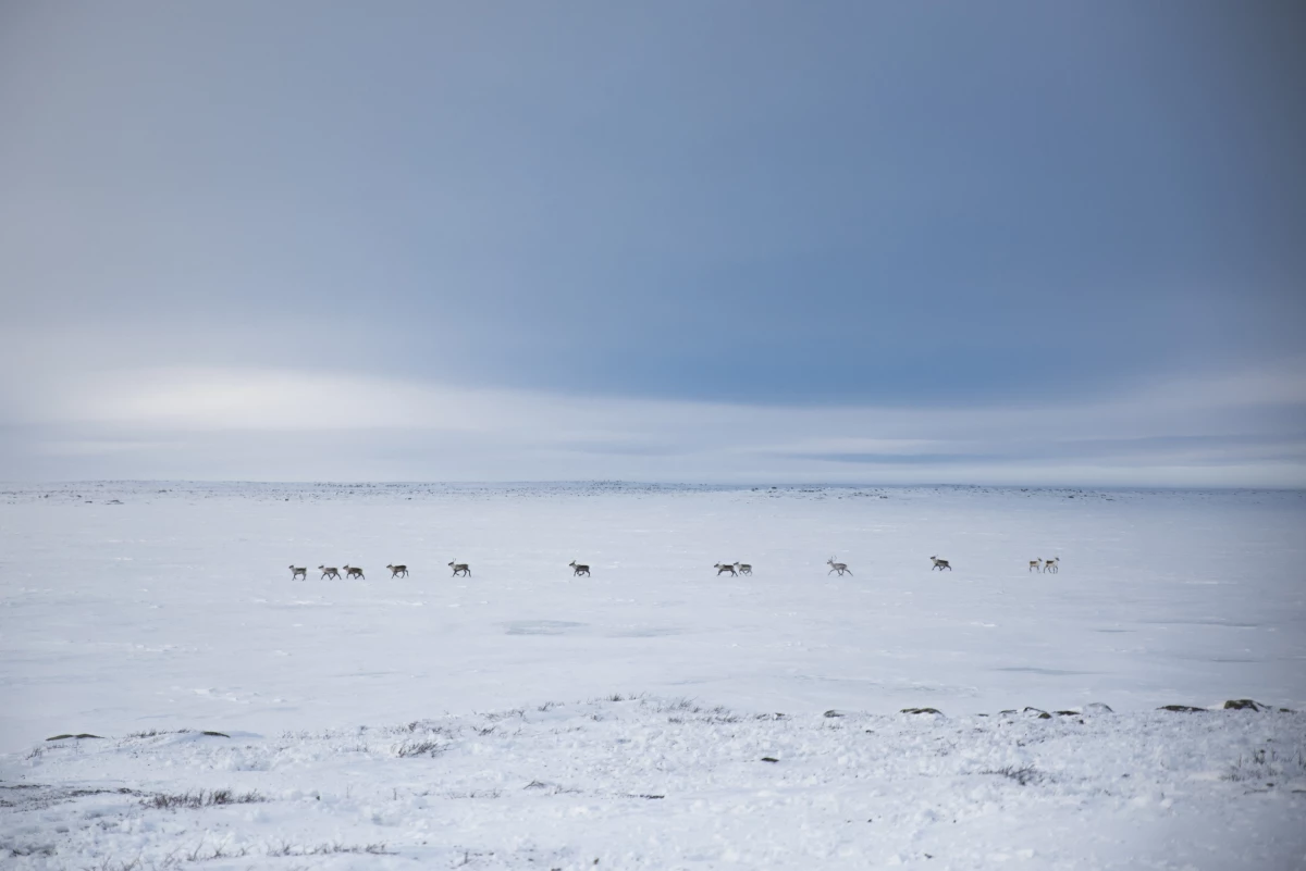 Pat Kane | The Independent Photographer