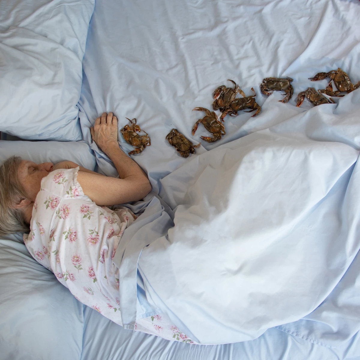 Donna Delone | The Independent Photographer