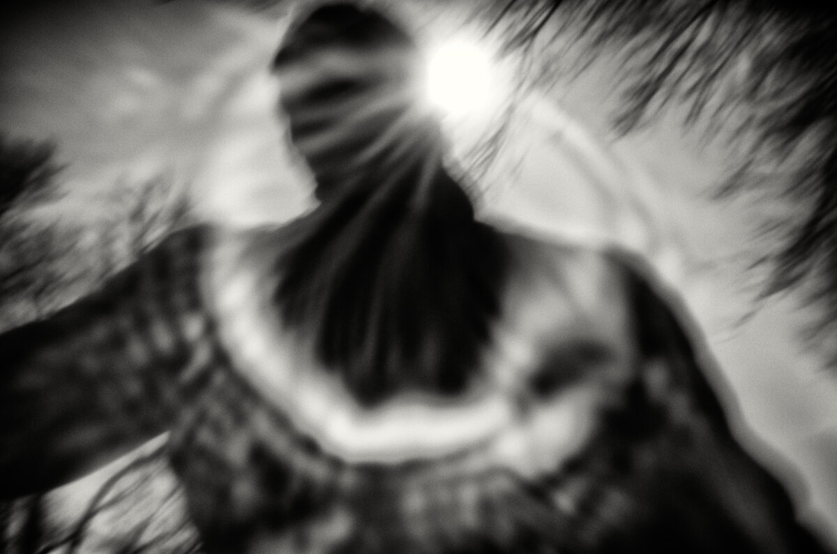 Timothy Floyd | The Independent Photographer