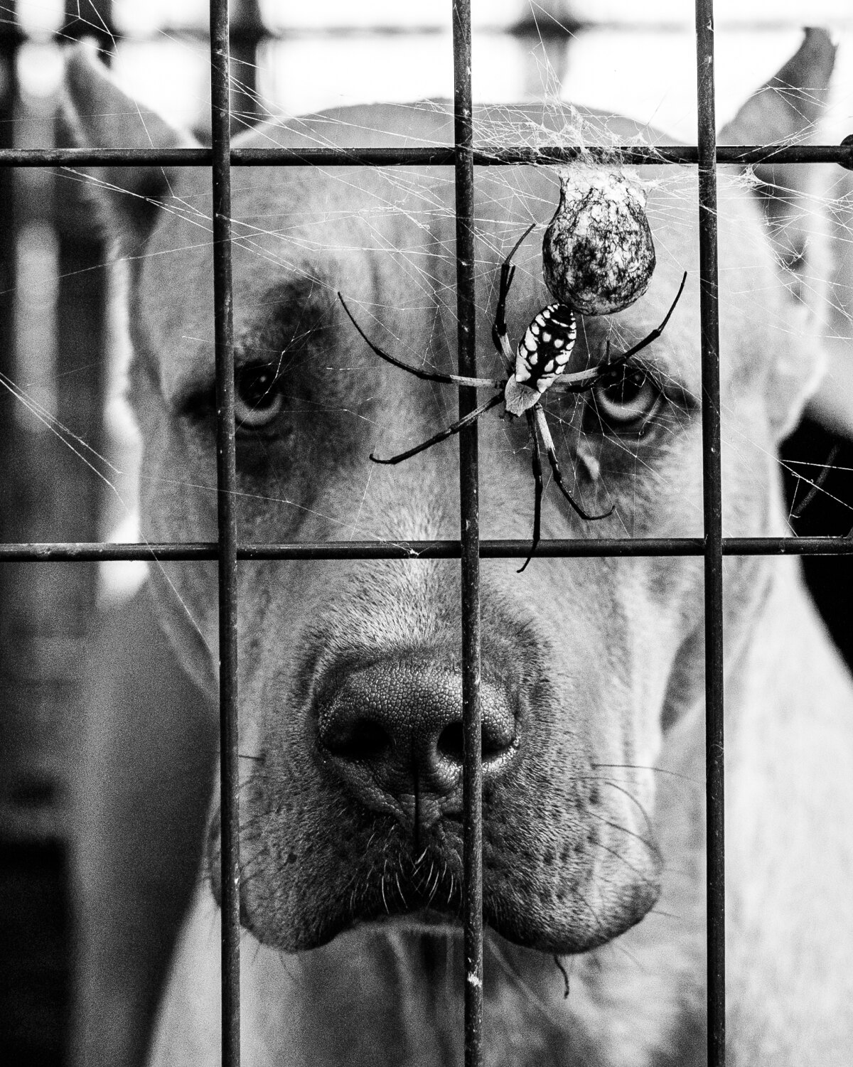 David Taffet | The Independent Photographer