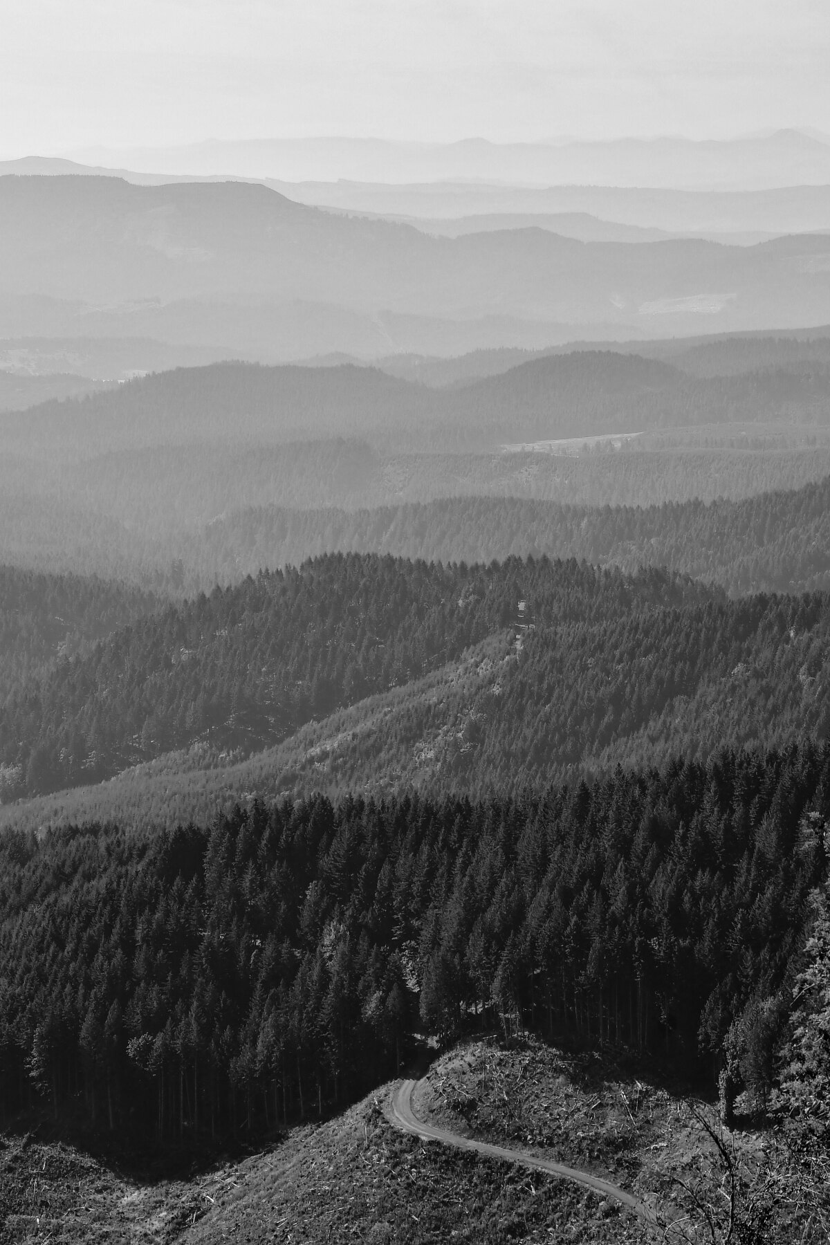 Beth Layman | The Independent Photographer