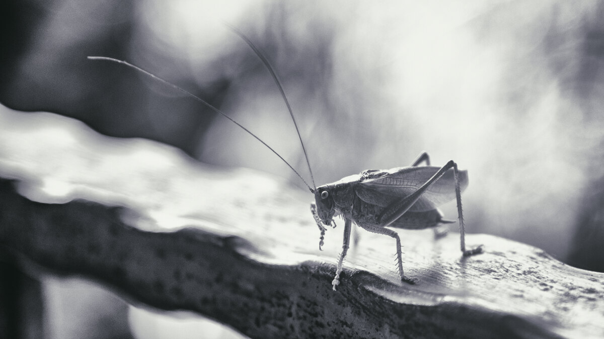 Yevhen Kostiuk | The Independent Photographer Yevhen Kostiuk | The Independent Photographer