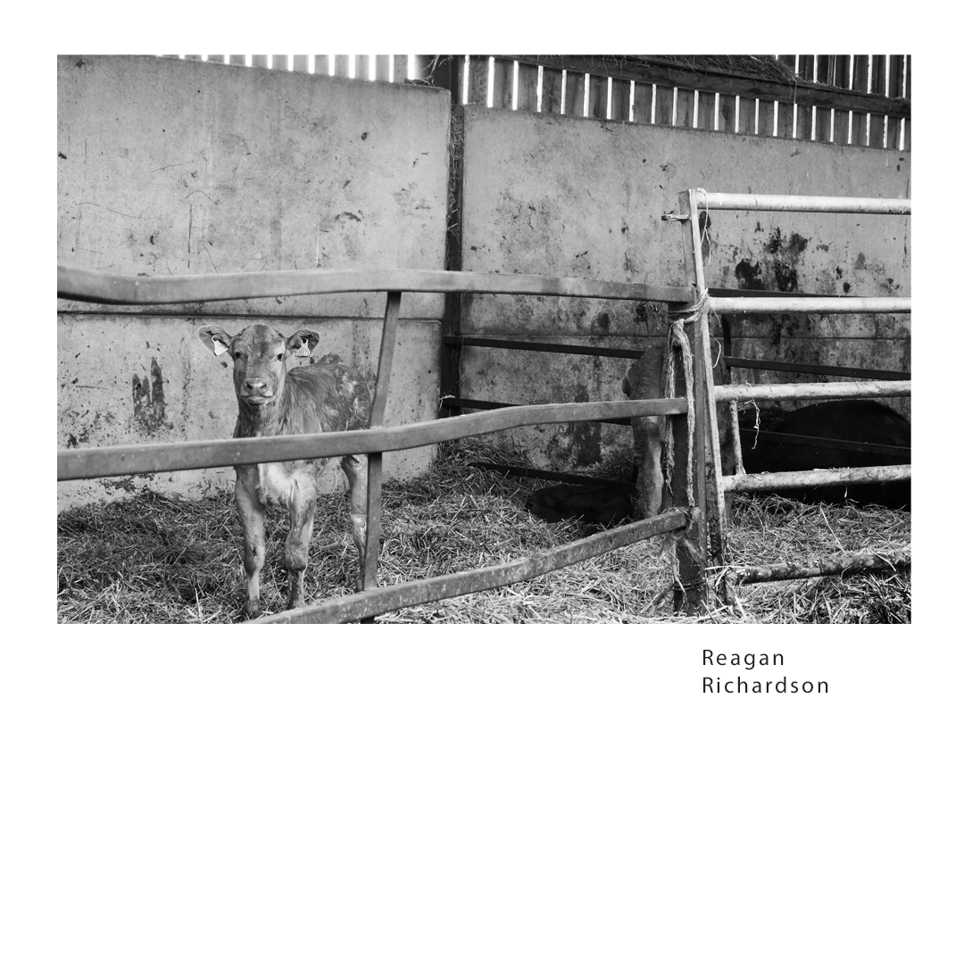 Reagan Richardson | The Independent Photographer