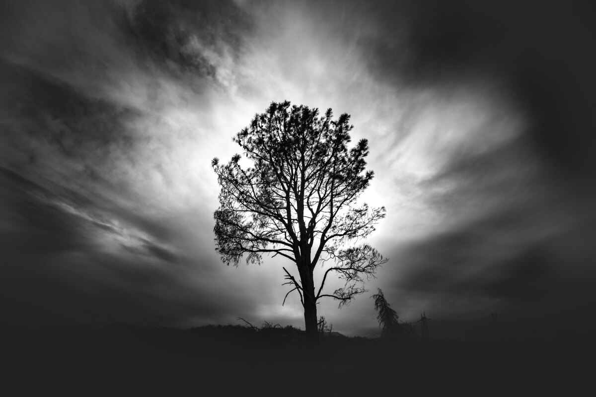 Sydney Croasmun | The Independent Photographer