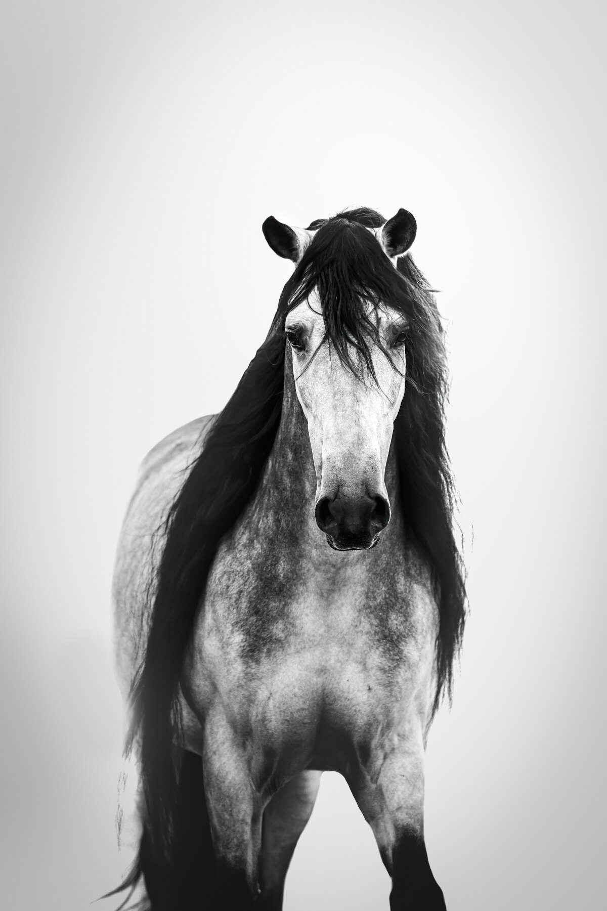 Sydney Croasmun | The Independent Photographer