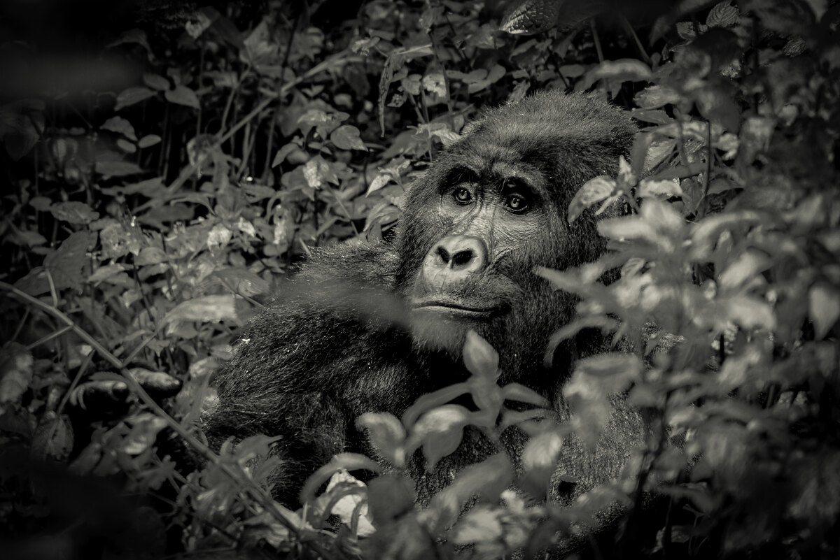 Sam Gauci | The Independent Photographer