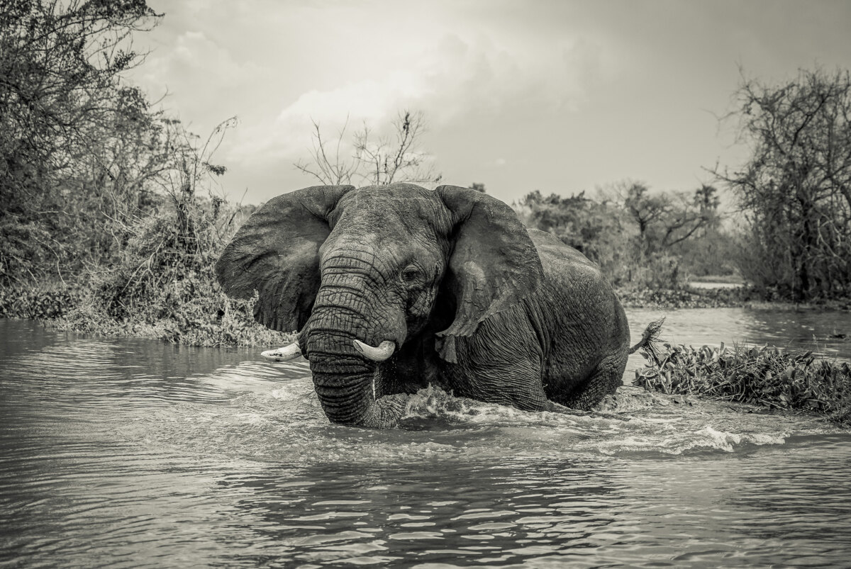 Sam Gauci | The Independent Photographer