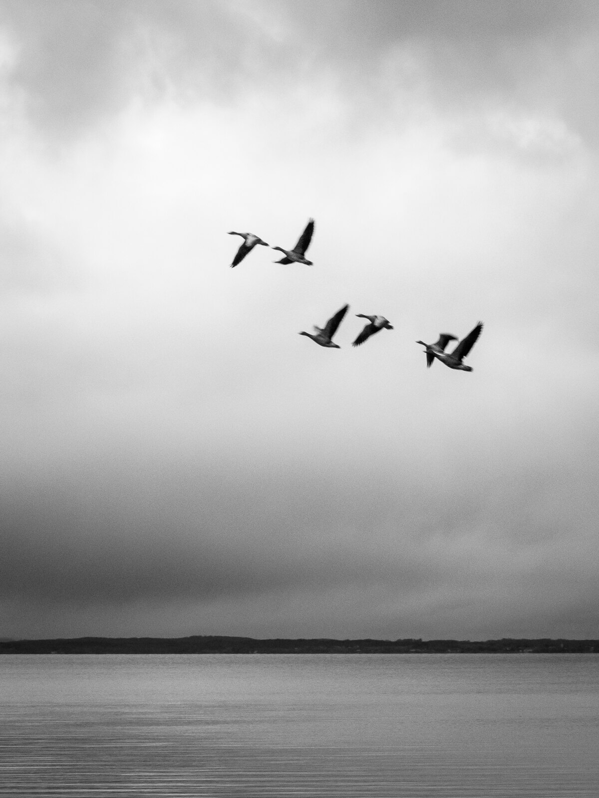 René Greiner | The Independent Photographer