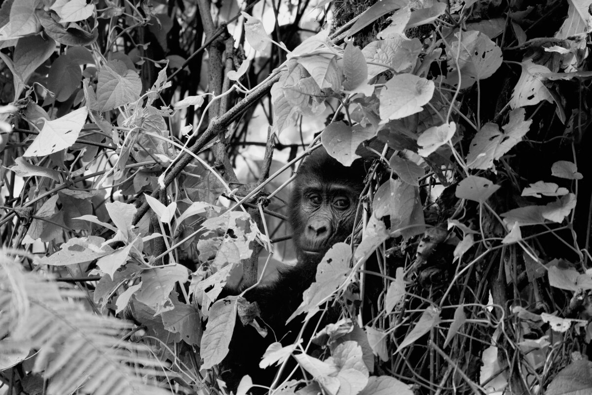 Jessica Roth | The Independent Photographer