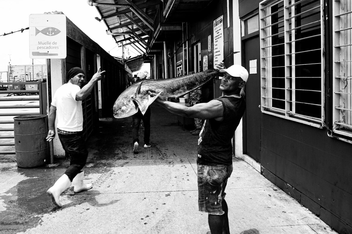 Marcus Grosveld | The Independent Photographer