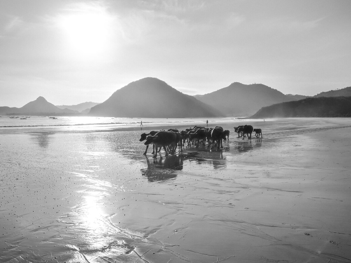 Marcus Grosveld | The Independent Photographer