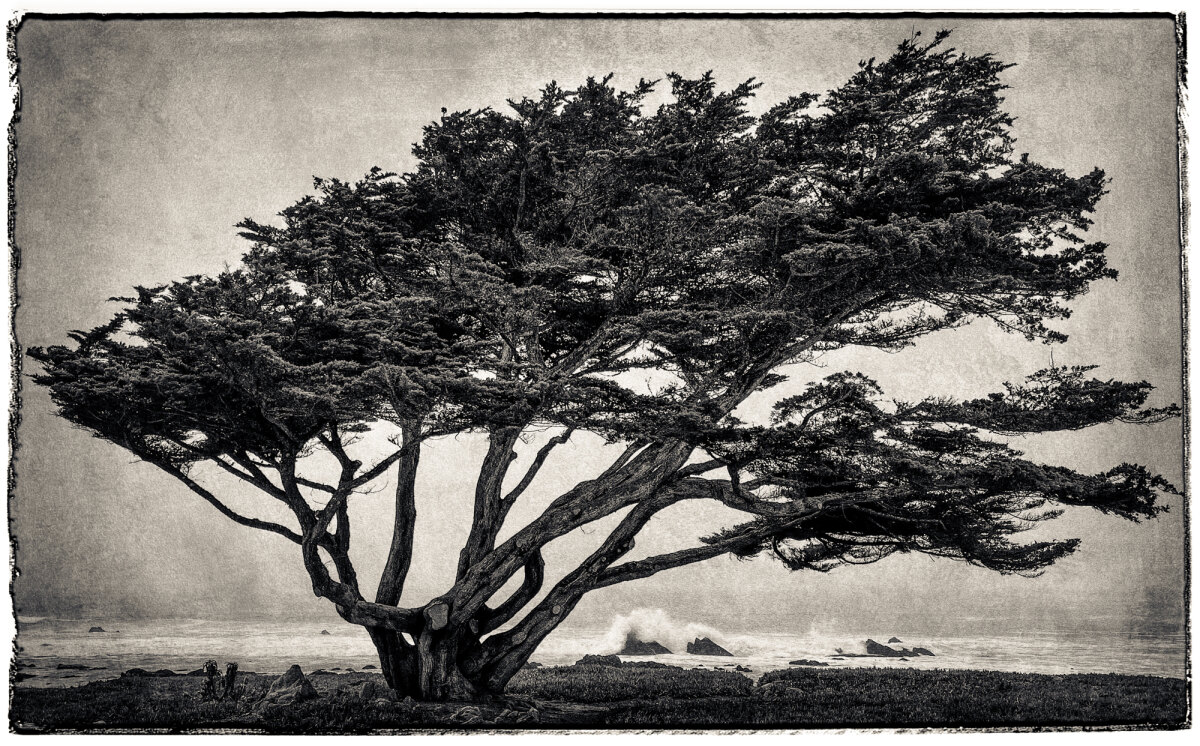 Jeff Schewe | The Independent Photographer