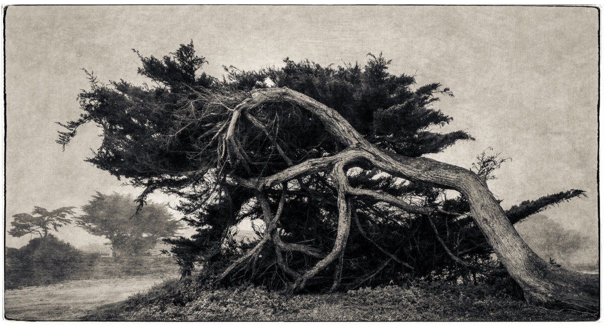 Jeff Schewe | The Independent Photographer