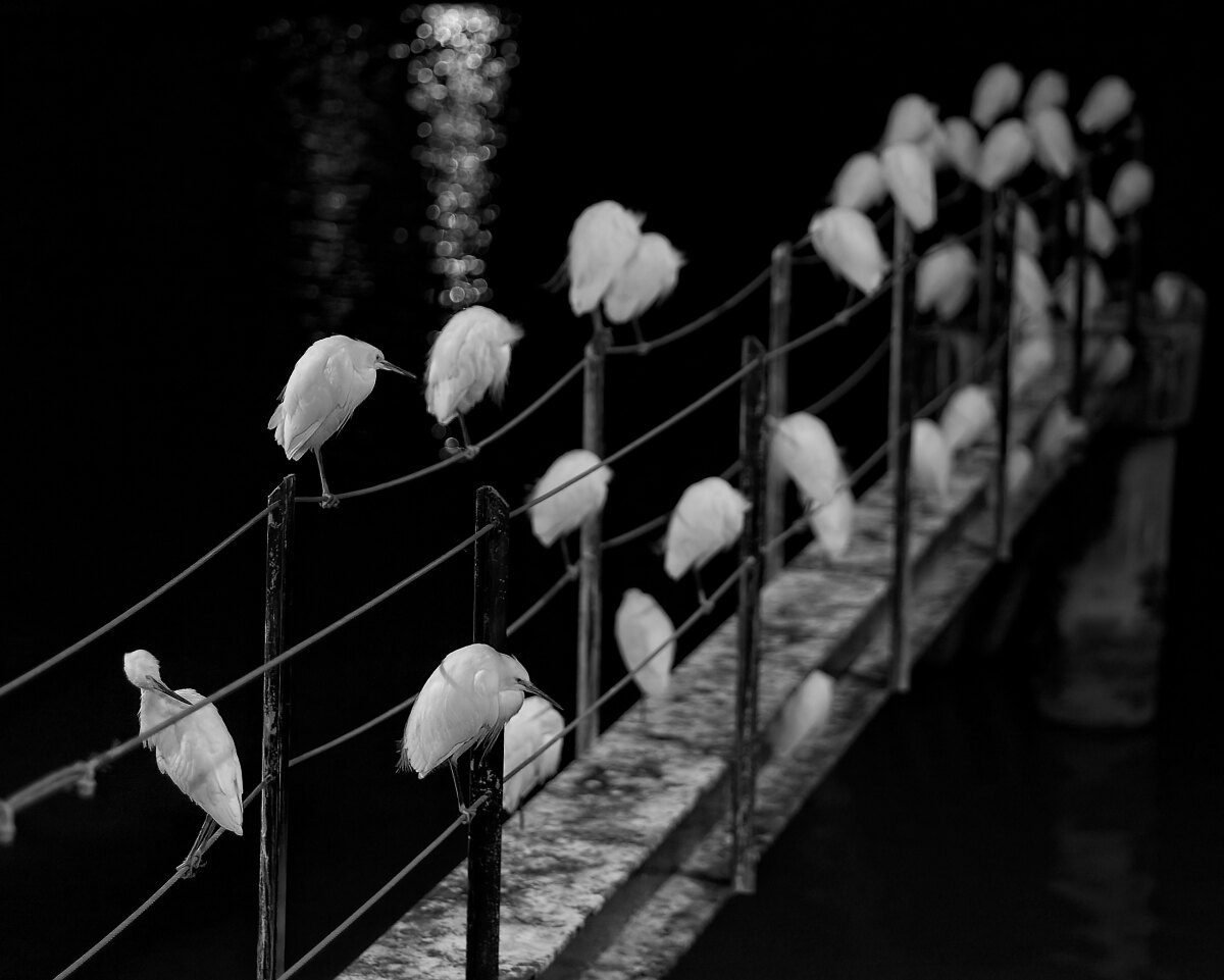 Stuart Bass | The Independent Photographer