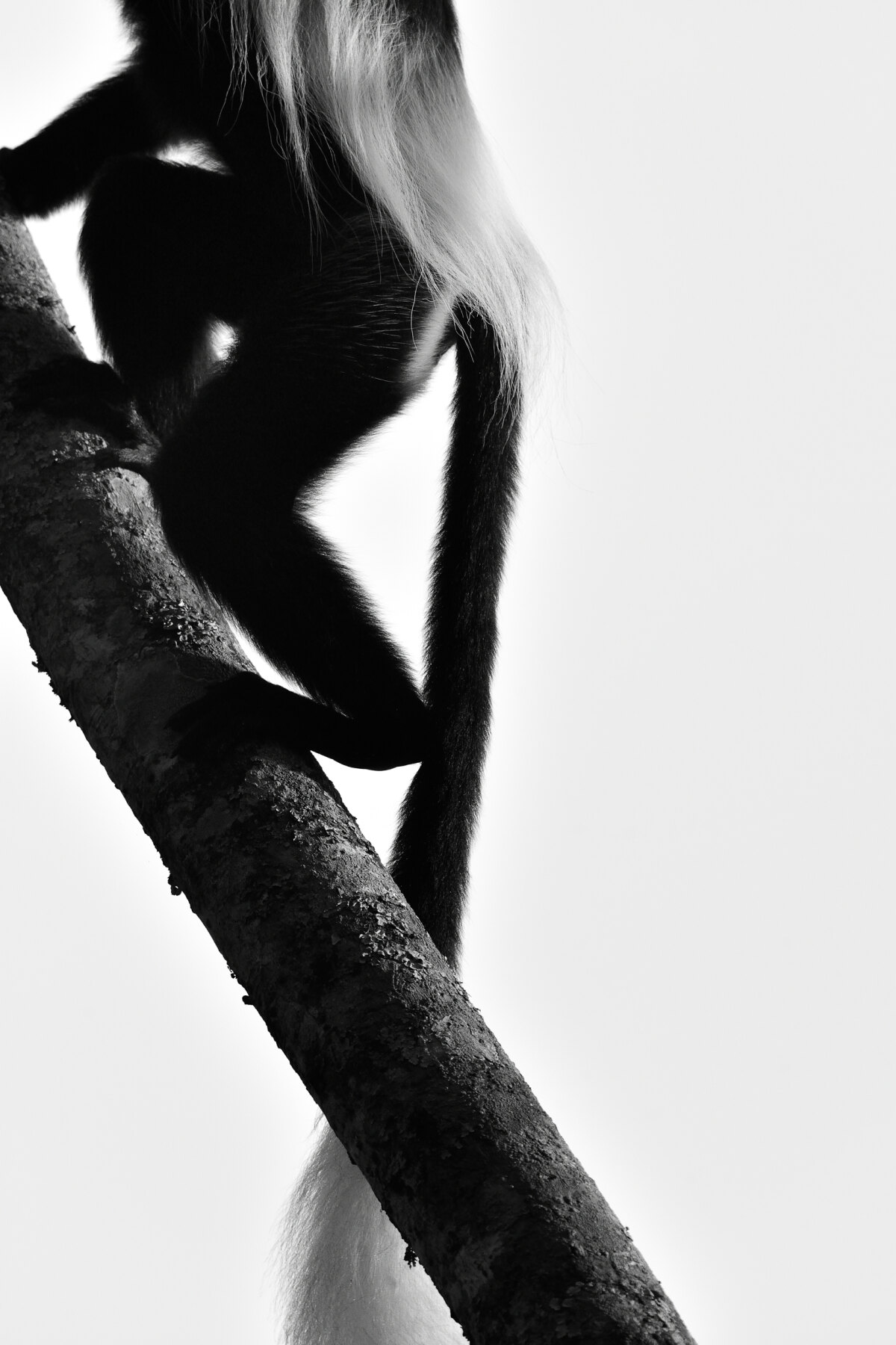 Frédéric Demeuse | The Independent Photographer