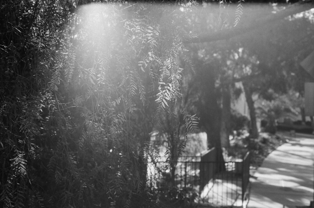 Matthew Leib | The Independent Photographer