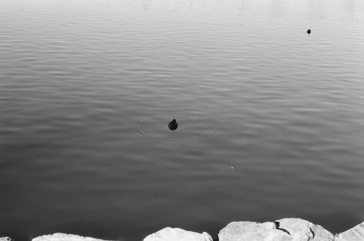 Matthew Leib | The Independent Photographer