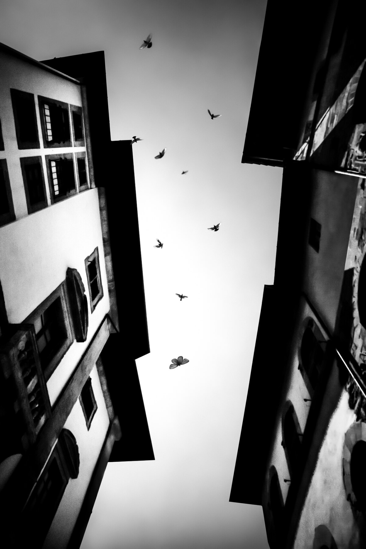 Josip Miskovic | The Independent Photographer