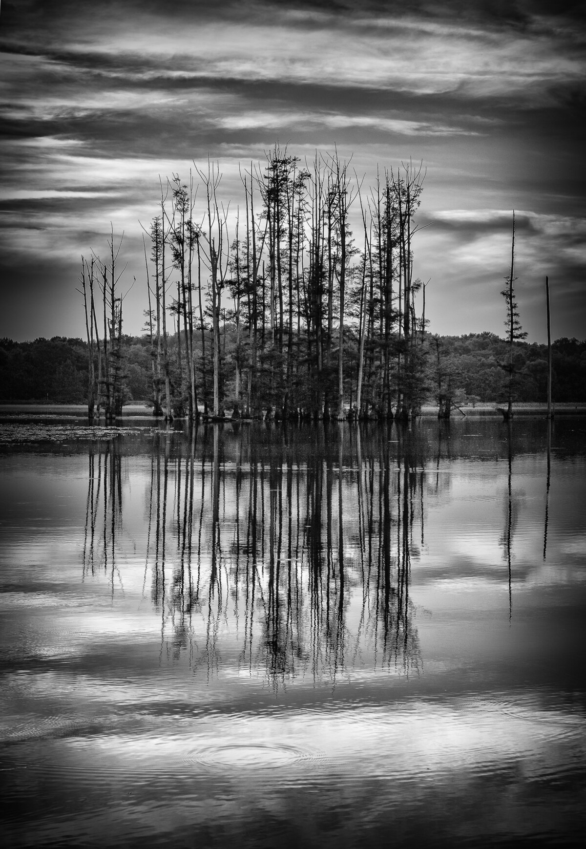 Kamala Raghavan | The Independent Photographer