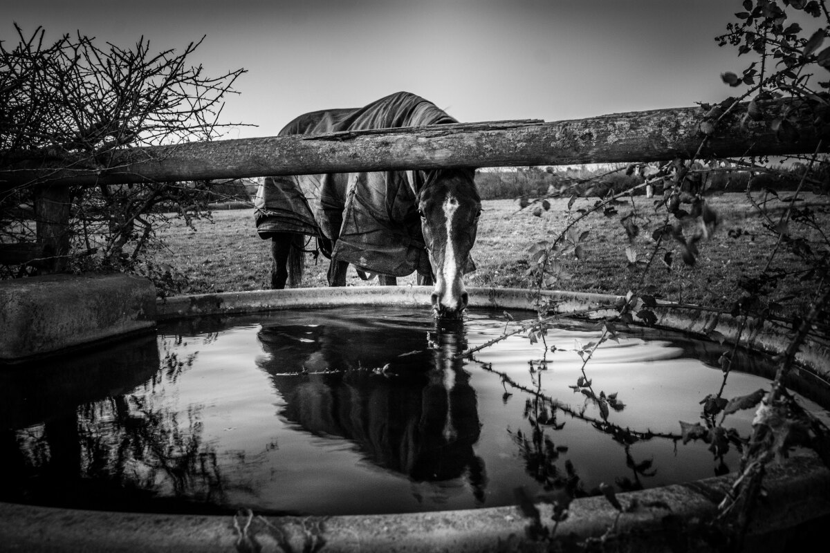 Ian Goddard | The Independent Photographer
