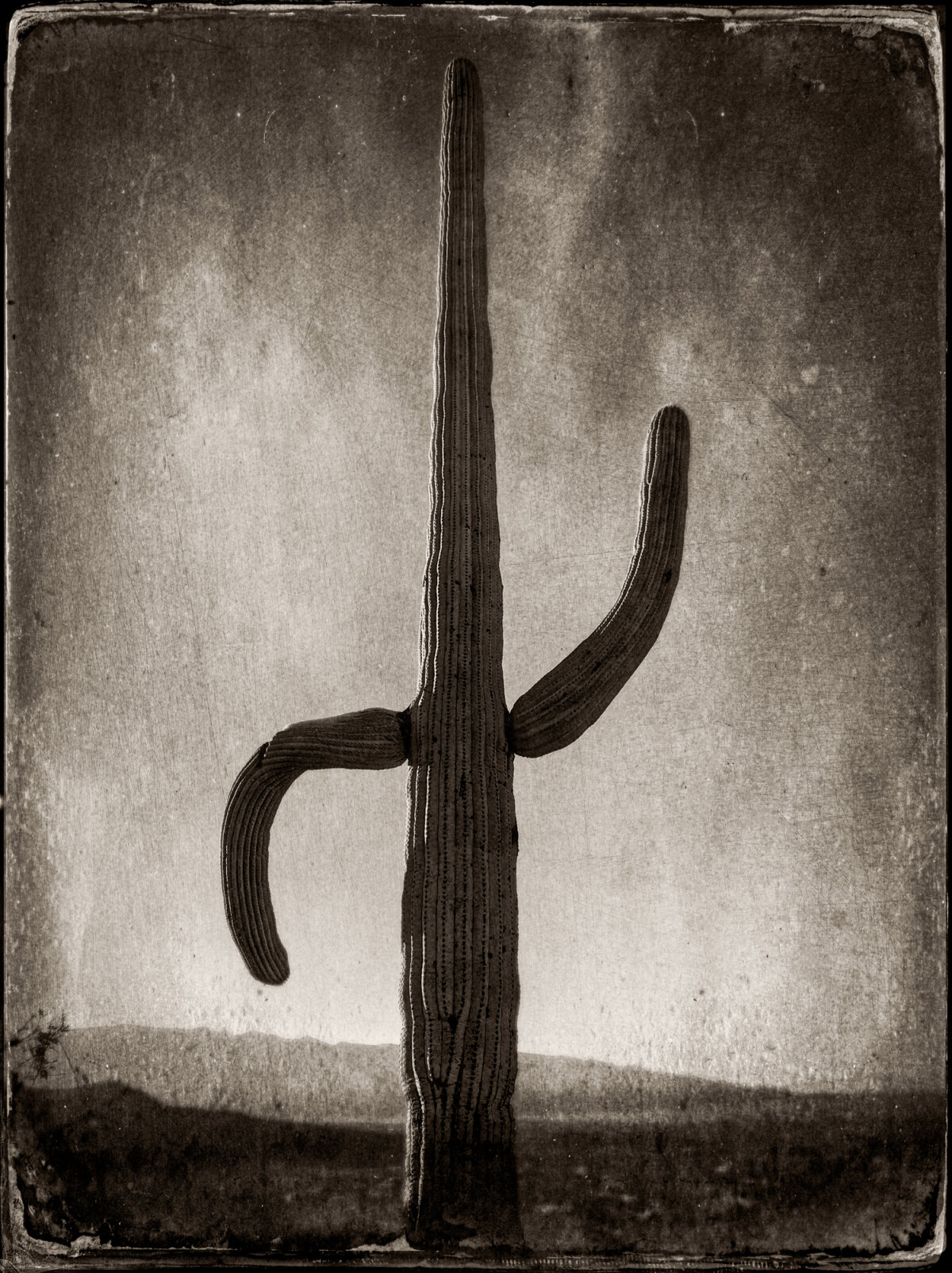 Jeff Schewe | The Independent Photographer