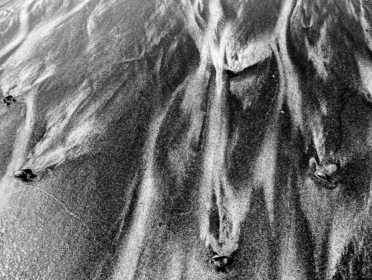 Natasha Scott | The Independent Photographer