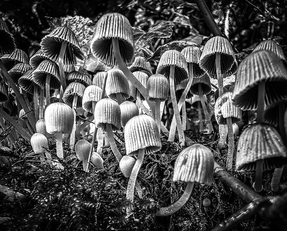 Natasha Scott | The Independent Photographer