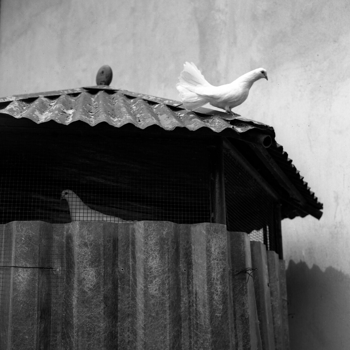 Francesco Conti | The Independent Photographer