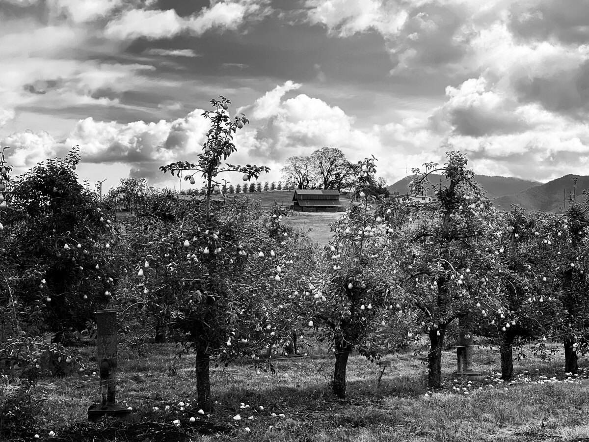 David Leibowitz | The Independent Photographer