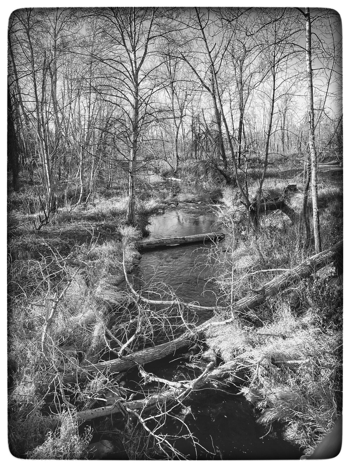 David Leibowitz | The Independent Photographer