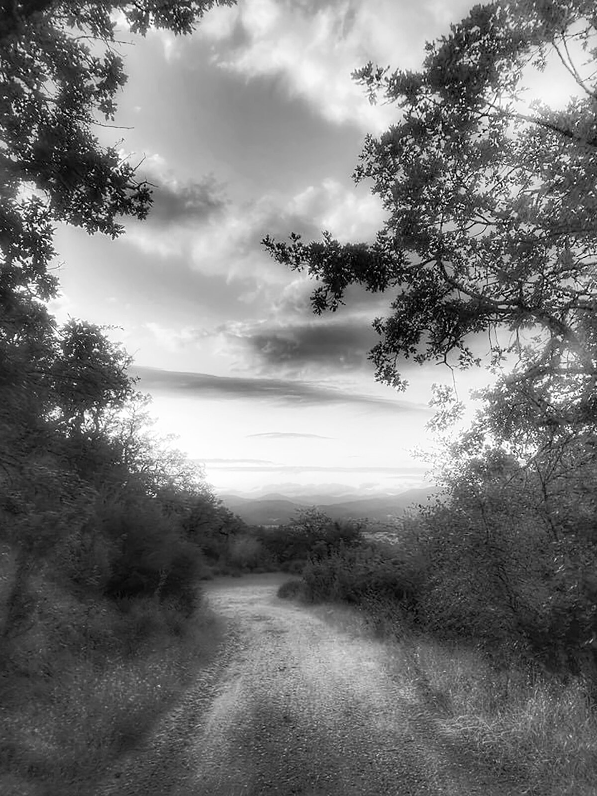 David Leibowitz | The Independent Photographer