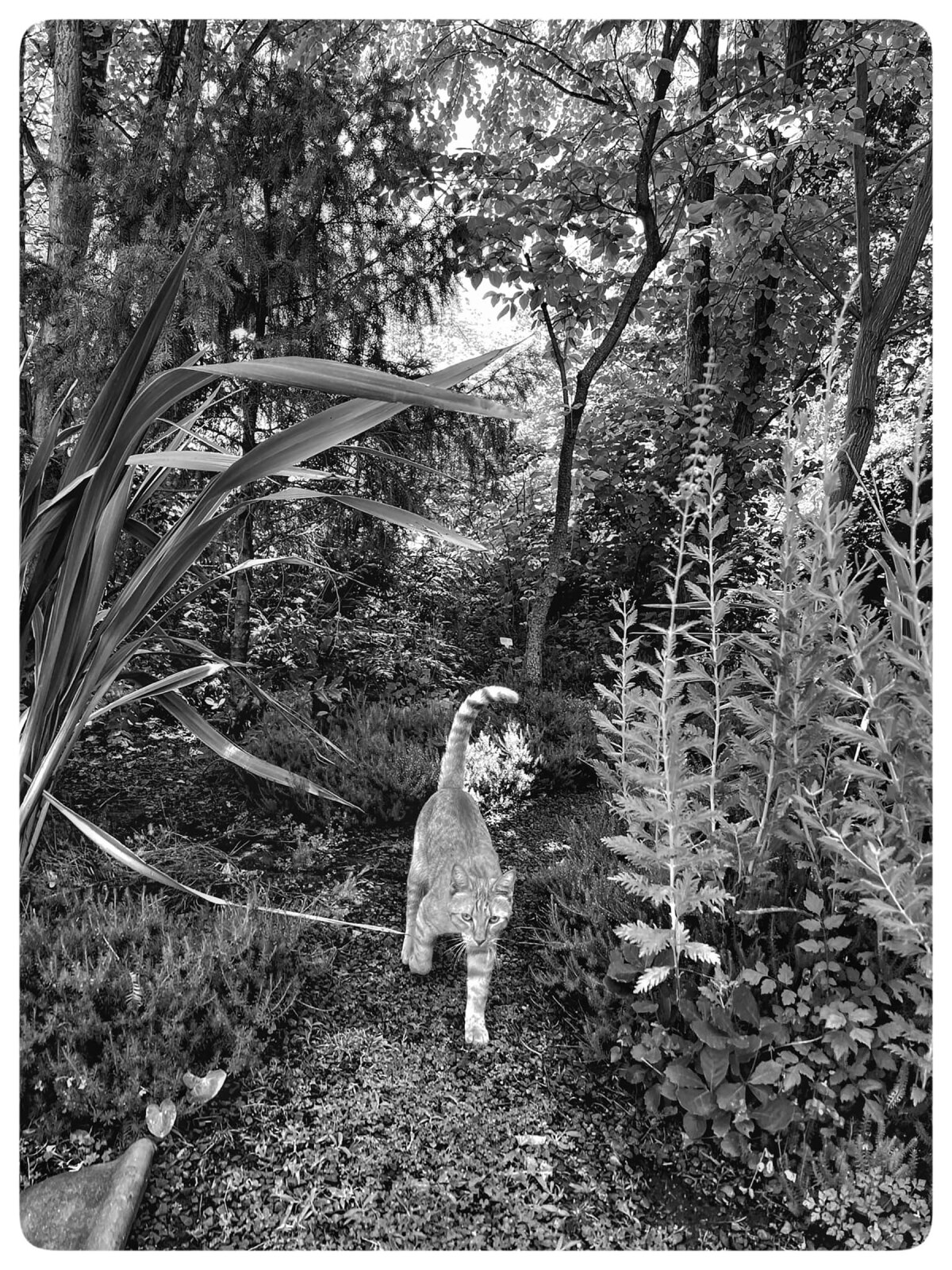 David Leibowitz | The Independent Photographer