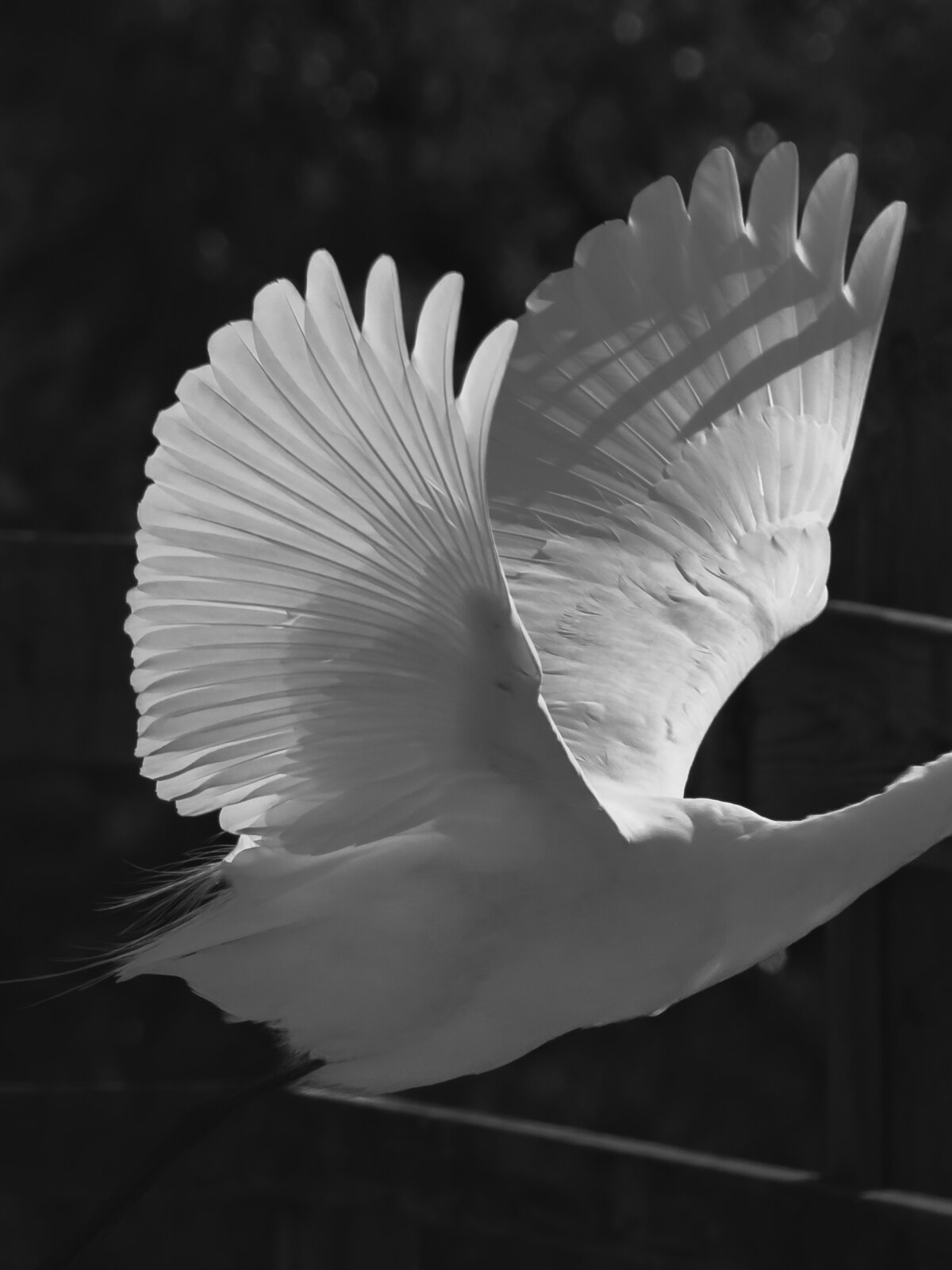 Adam Barth | The Independent Photographer