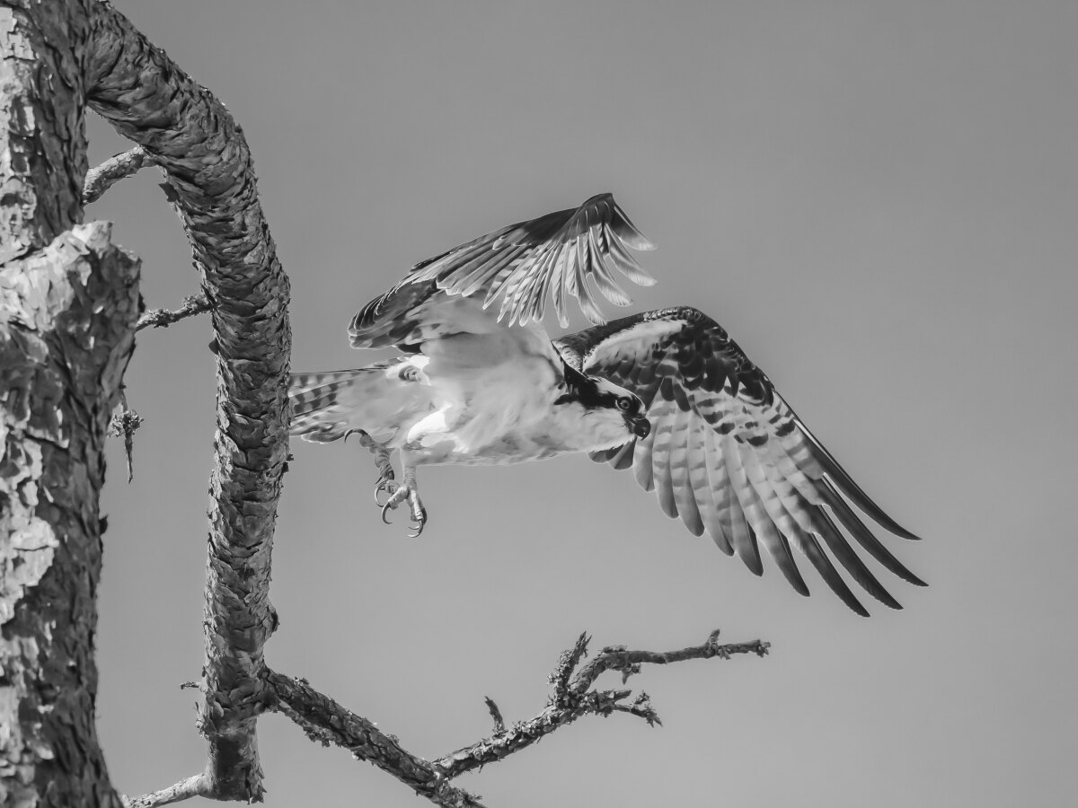 Adam Barth | The Independent Photographer