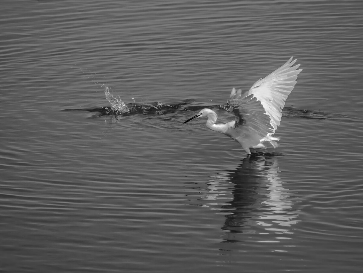 Adam Barth | The Independent Photographer