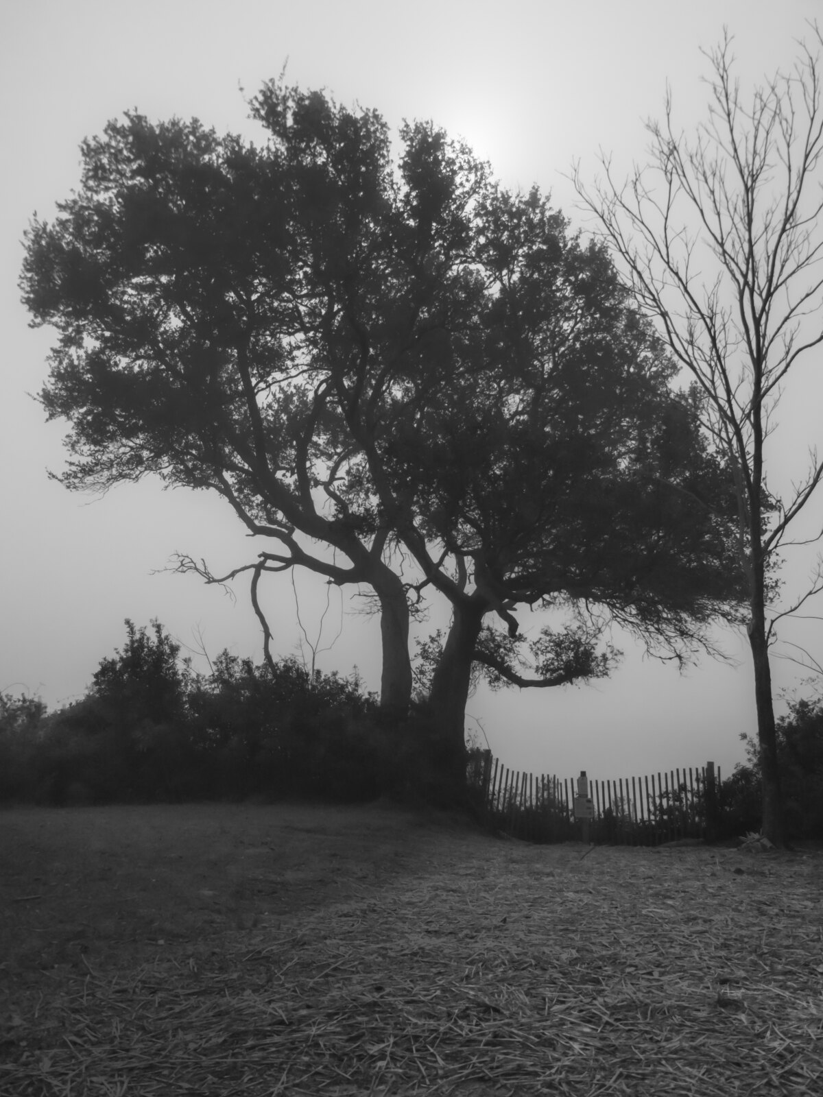 Adam Barth | The Independent Photographer