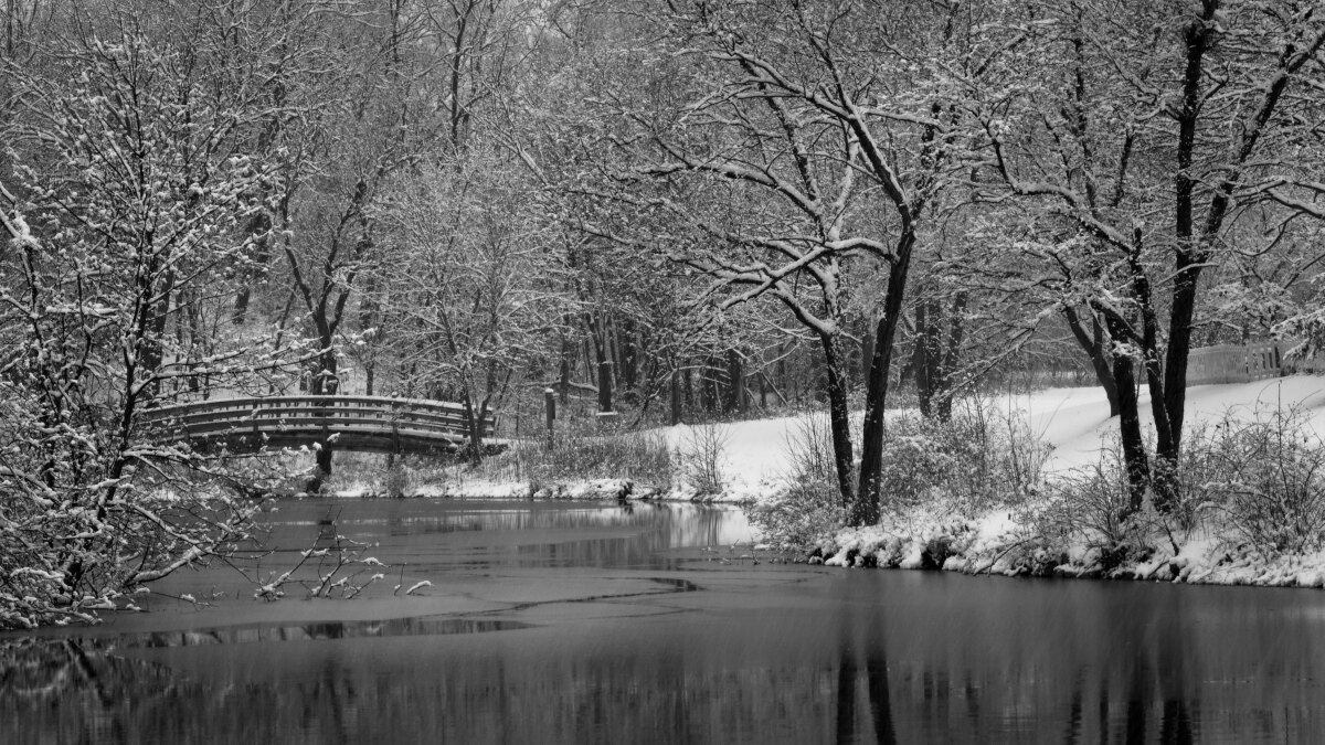 Wafa Dahdal | The Independent Photographer