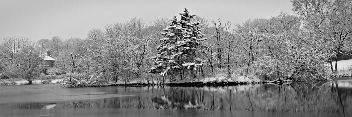 Wafa Dahdal | The Independent Photographer