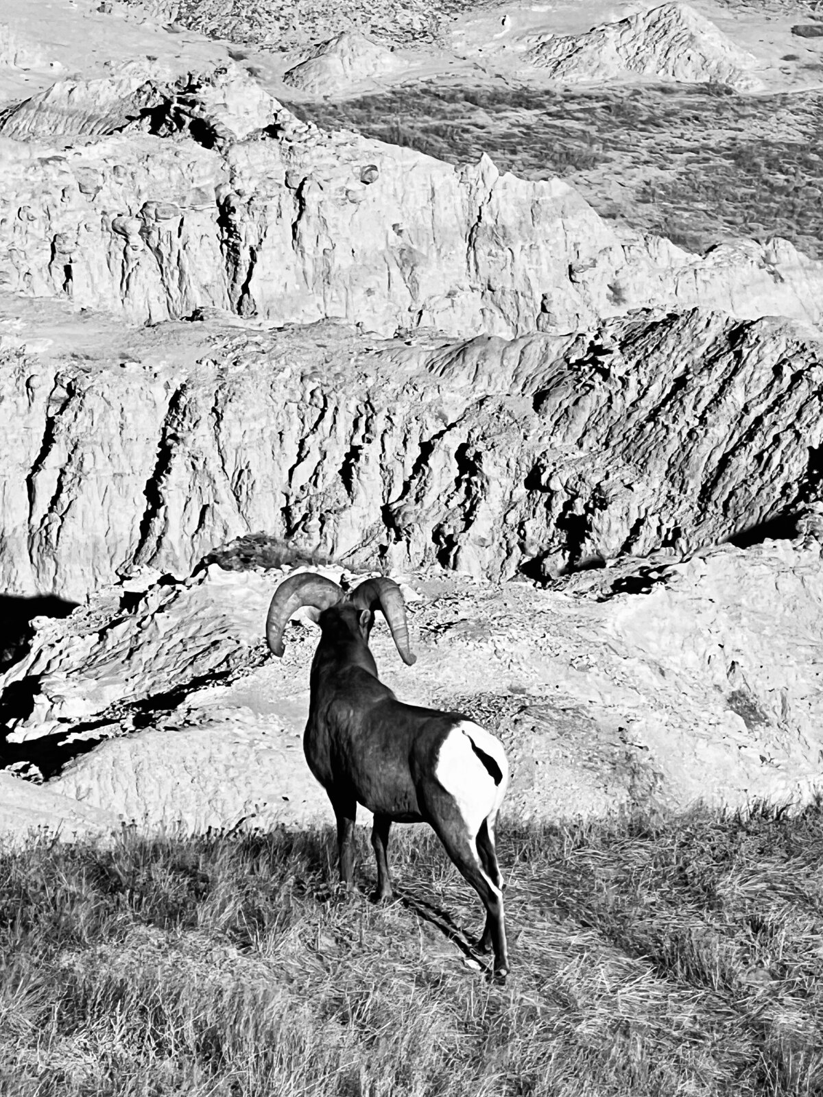 Carol Dostert | The Independent Photographer