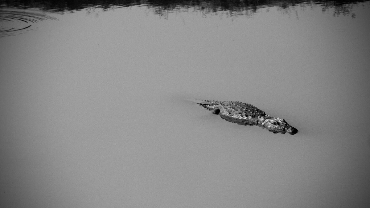 Sean Lim | The Independent Photographer