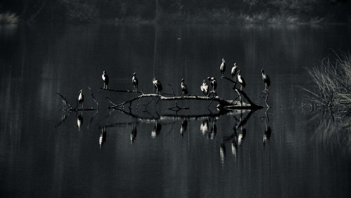 Sean Lim | The Independent Photographer