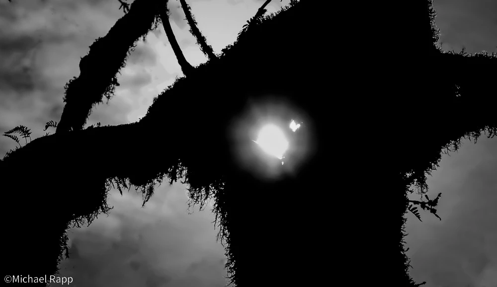 Michael Rapp | The Independent Photographer