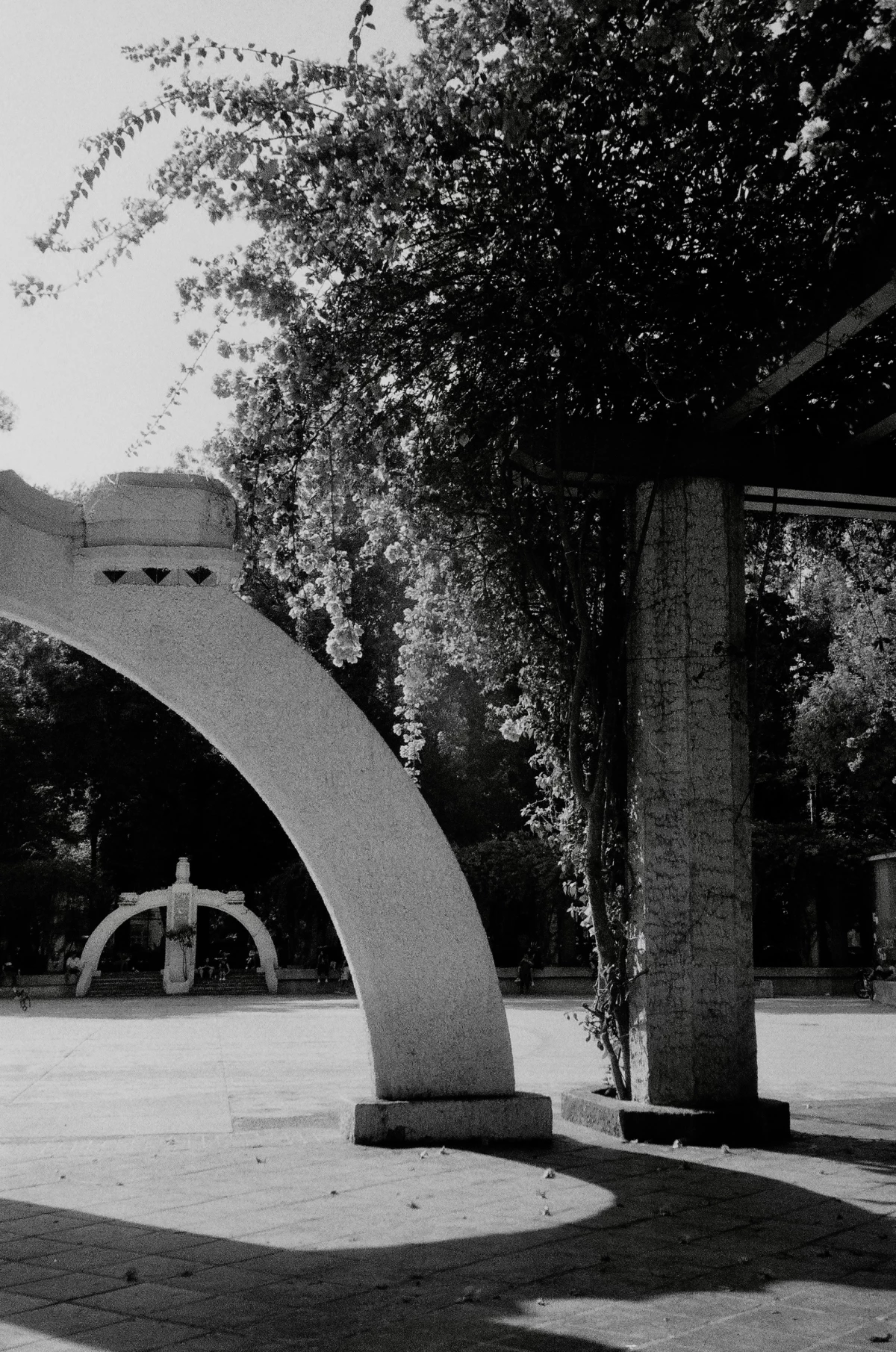 Alison Balnar | The Independent Photographer