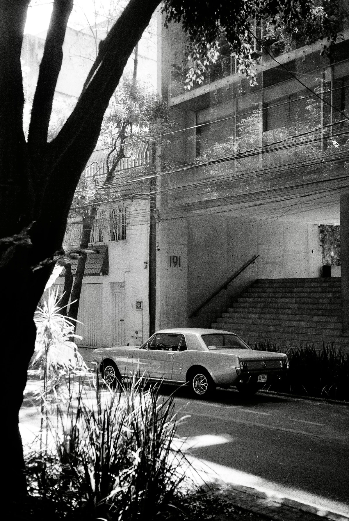 Alison Balnar | The Independent Photographer