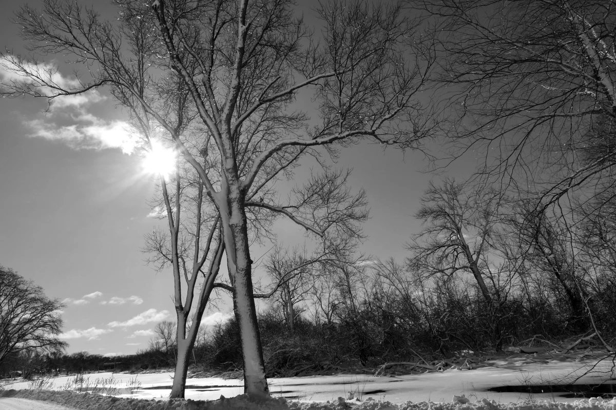 Yeohyun Ahn The Independent Photographer