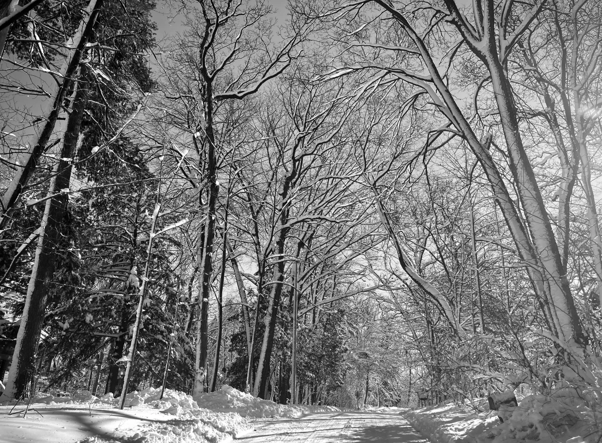 Yeohyun Ahn The Independent Photographer