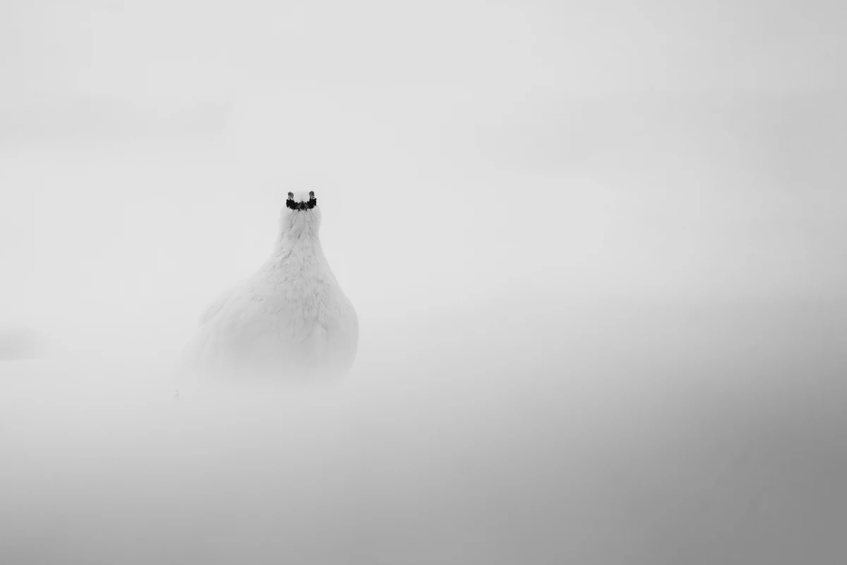 Michele Celli | The Independent Photographer