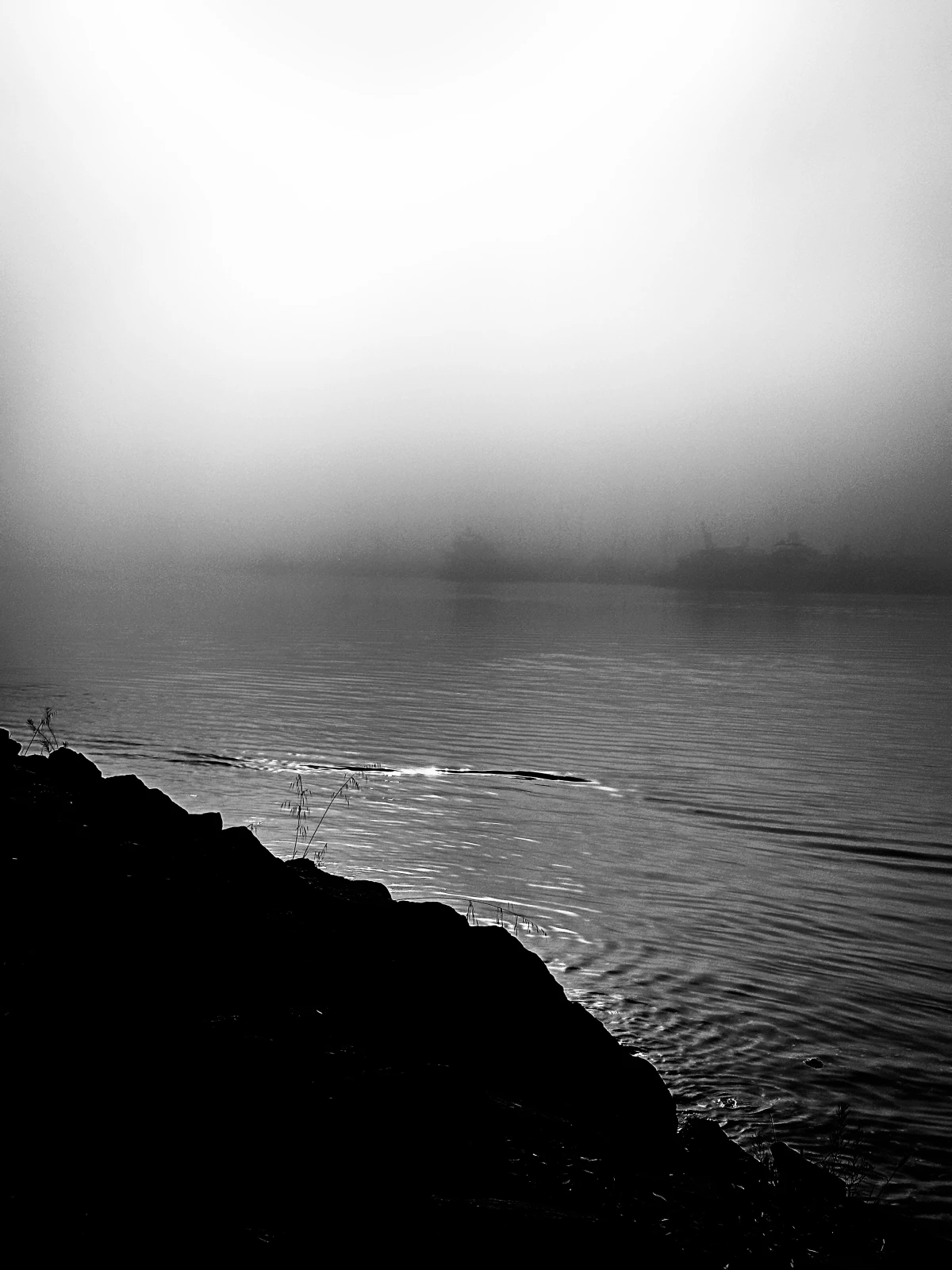 Mark Mao | The Independent Photographer