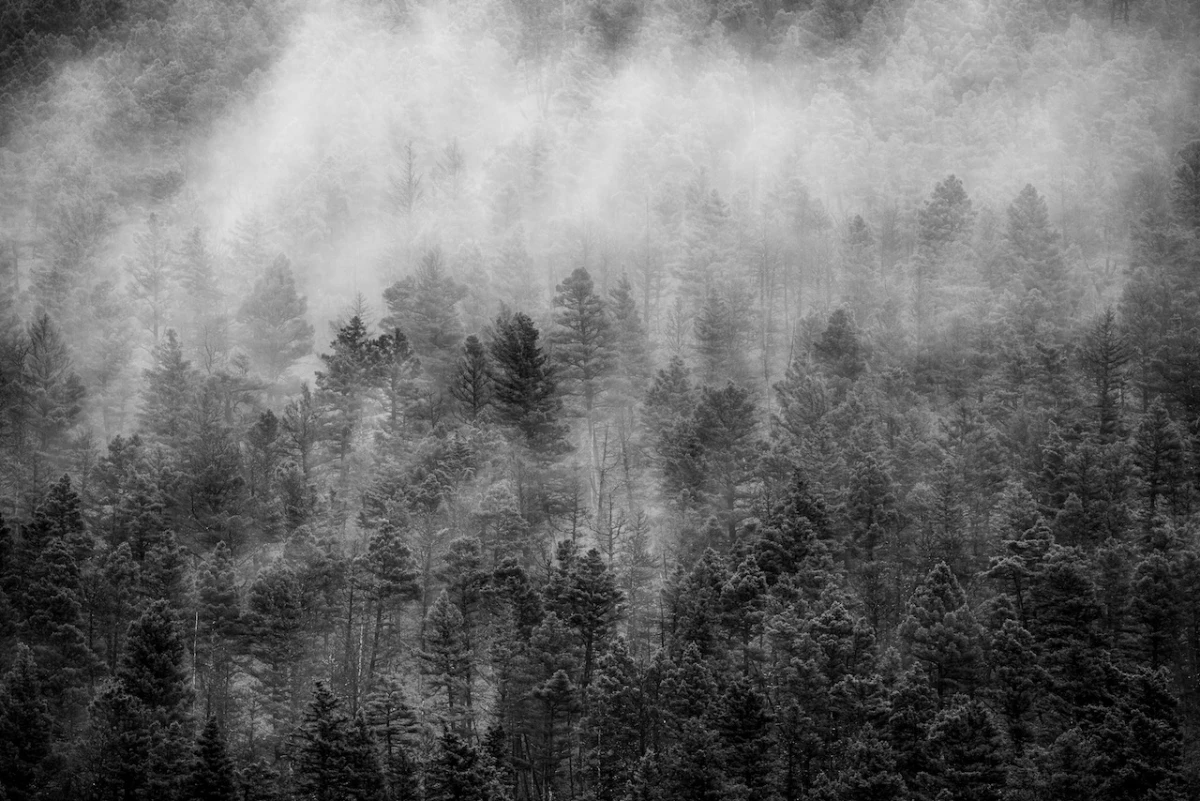 Daniel Combs | The Independent Photographer